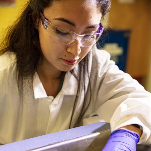 Bloodworks NW Careers: Join a Life - Saving Team in the PNW